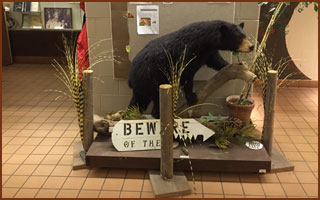 Interpretive Center - Howard Christensen Nature Center